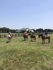 Best Trail Rides in DFW - Best Horseback Riding in DFW - Trail Rides USA